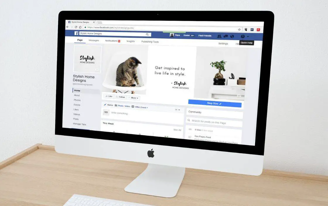 What is the Best Social Media Platform for Business and How to Choose ...